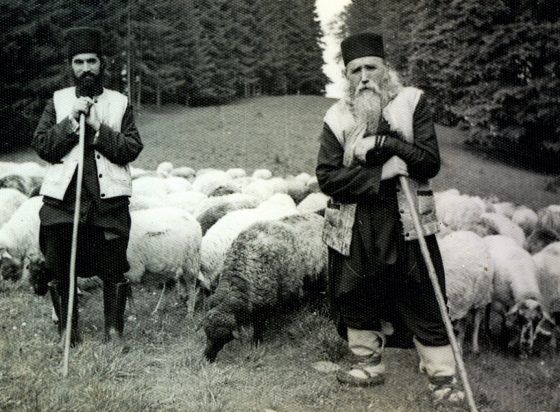Holy Tradition is a Living Voice of Revelation: An Interview with Elder ...