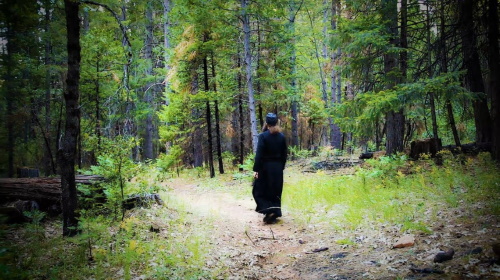 The Three Principles of Orthodox Spirituality: The Path to Prayer ...